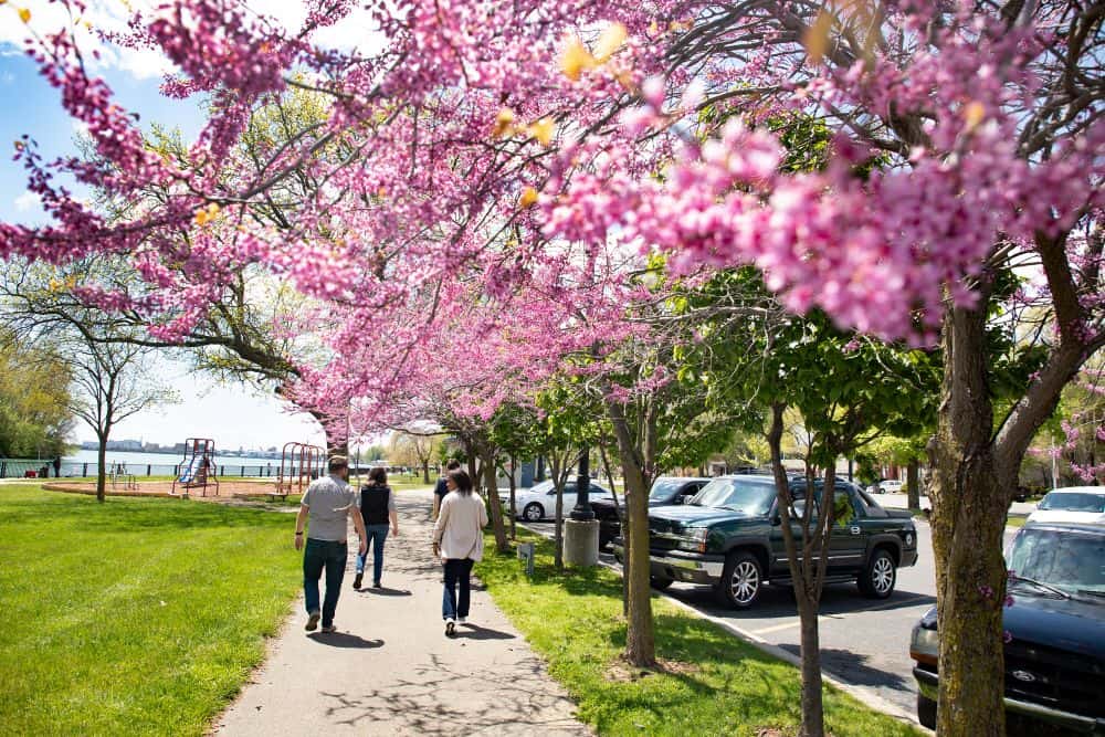 Environmental - SEMCOG